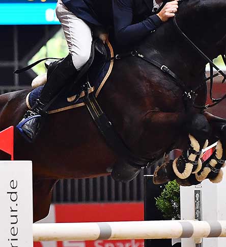 Turnier Mühlen - Stall Ramsbrock