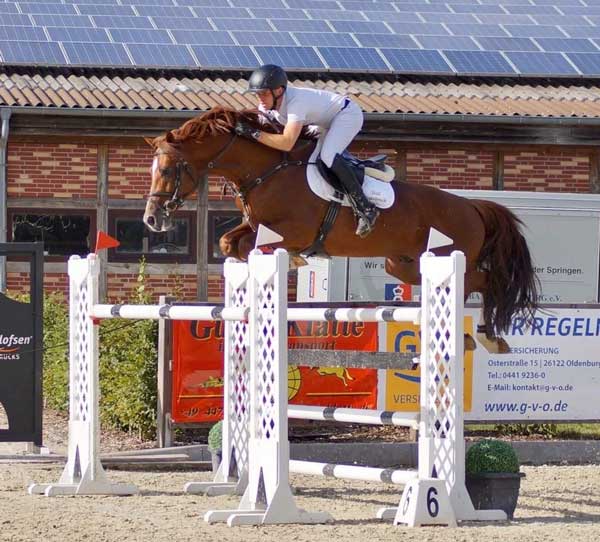 Turnier Höven - Stall Ramsbrock