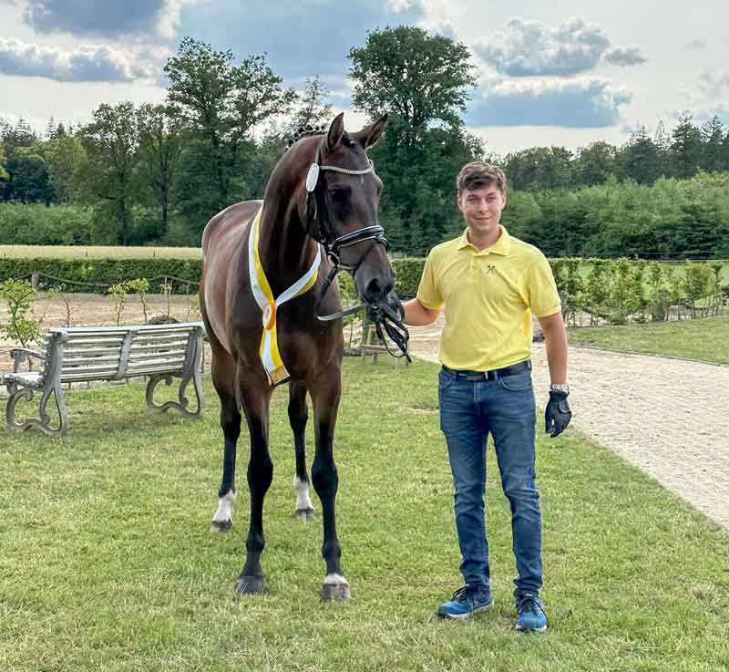 Die gekürte Stute - Stall Ramsbrock